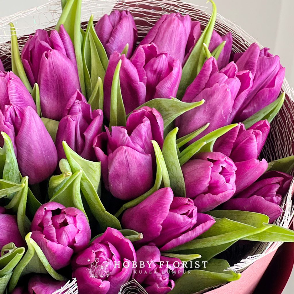 Emilie in Russia | Tulip Bouquet | Flower Delivery Kuala Lumpur - Hobby ...