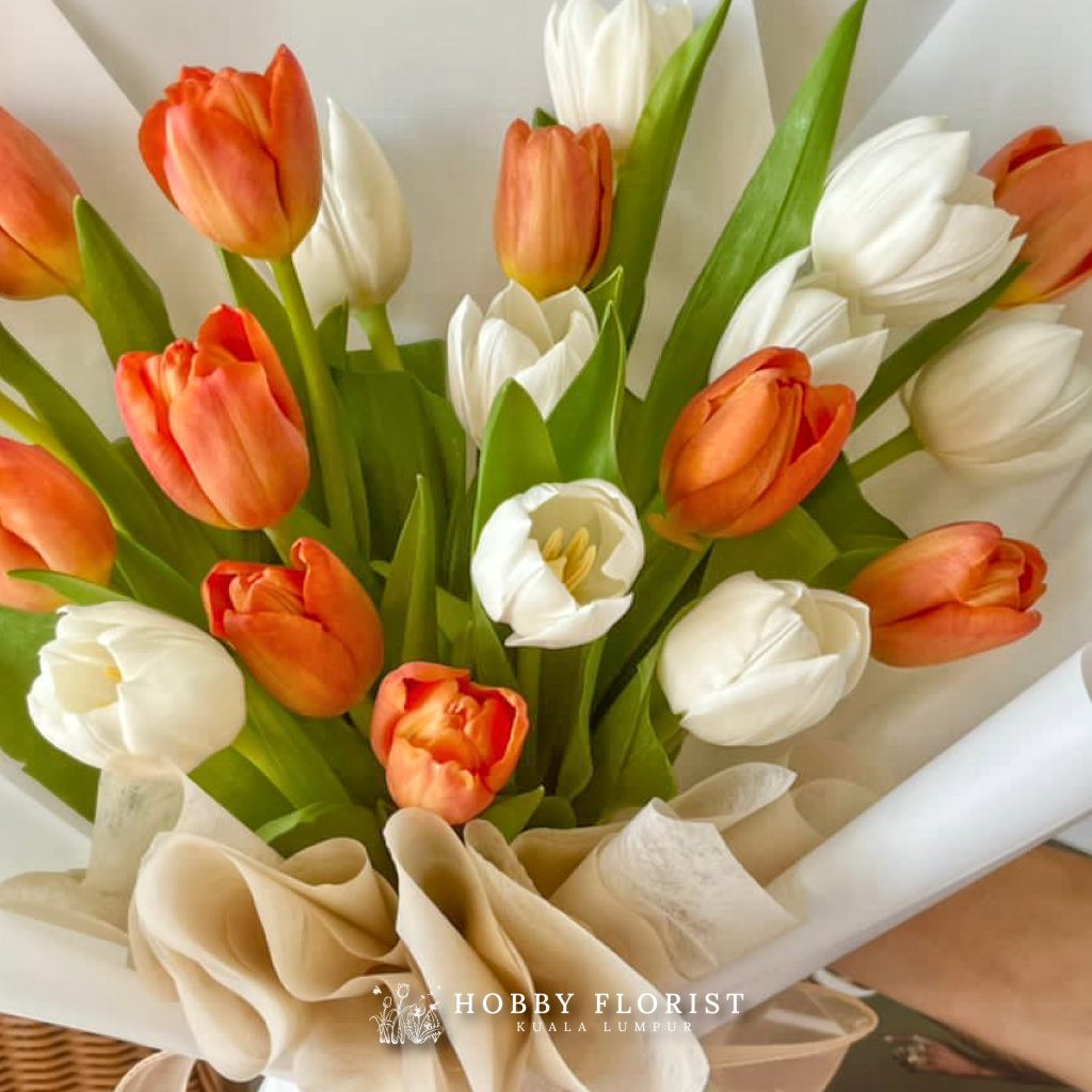 Jeannie | Tulip | Flower Delivery in Kuala Lumpur - Hobby Florist KL